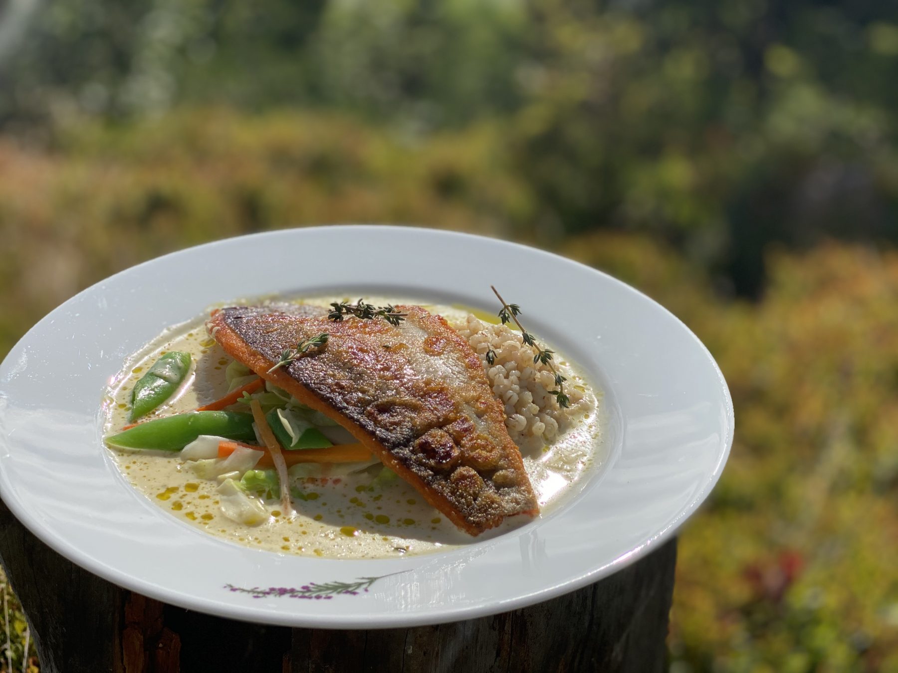 Servering høsten 2020 - VisitSjusjøen - Offisiell Turistinformasjon for ...