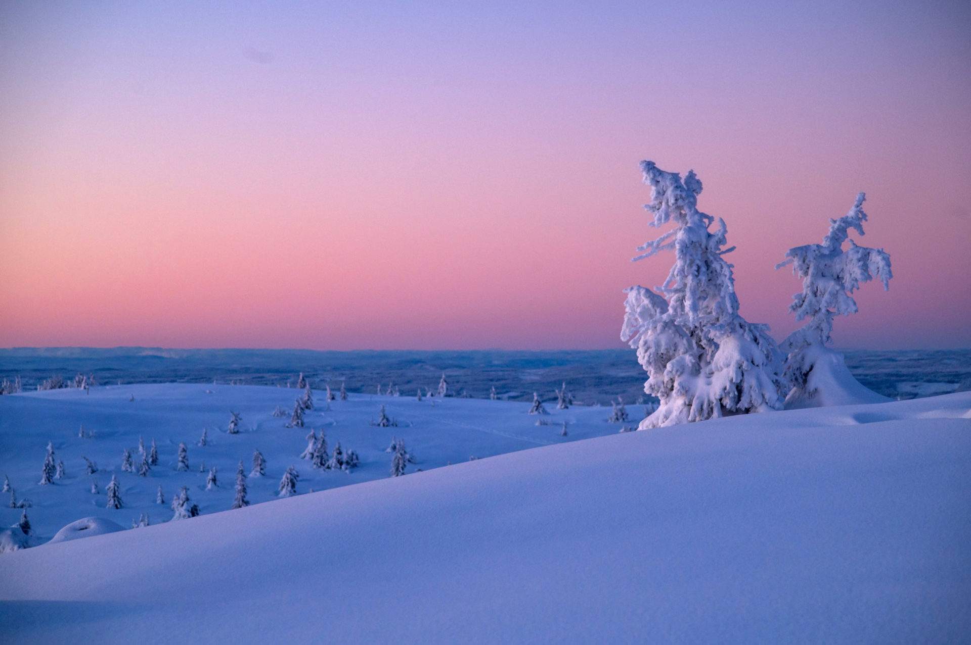 Visit Sjusjøen - VisitSjusjøen - Offisiell Turistinformasjon for Sjusjøen