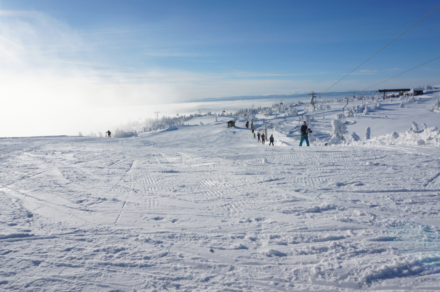 Visit Sjusjøen - VisitSjusjøen - Offisiell Turistinformasjon for Sjusjøen