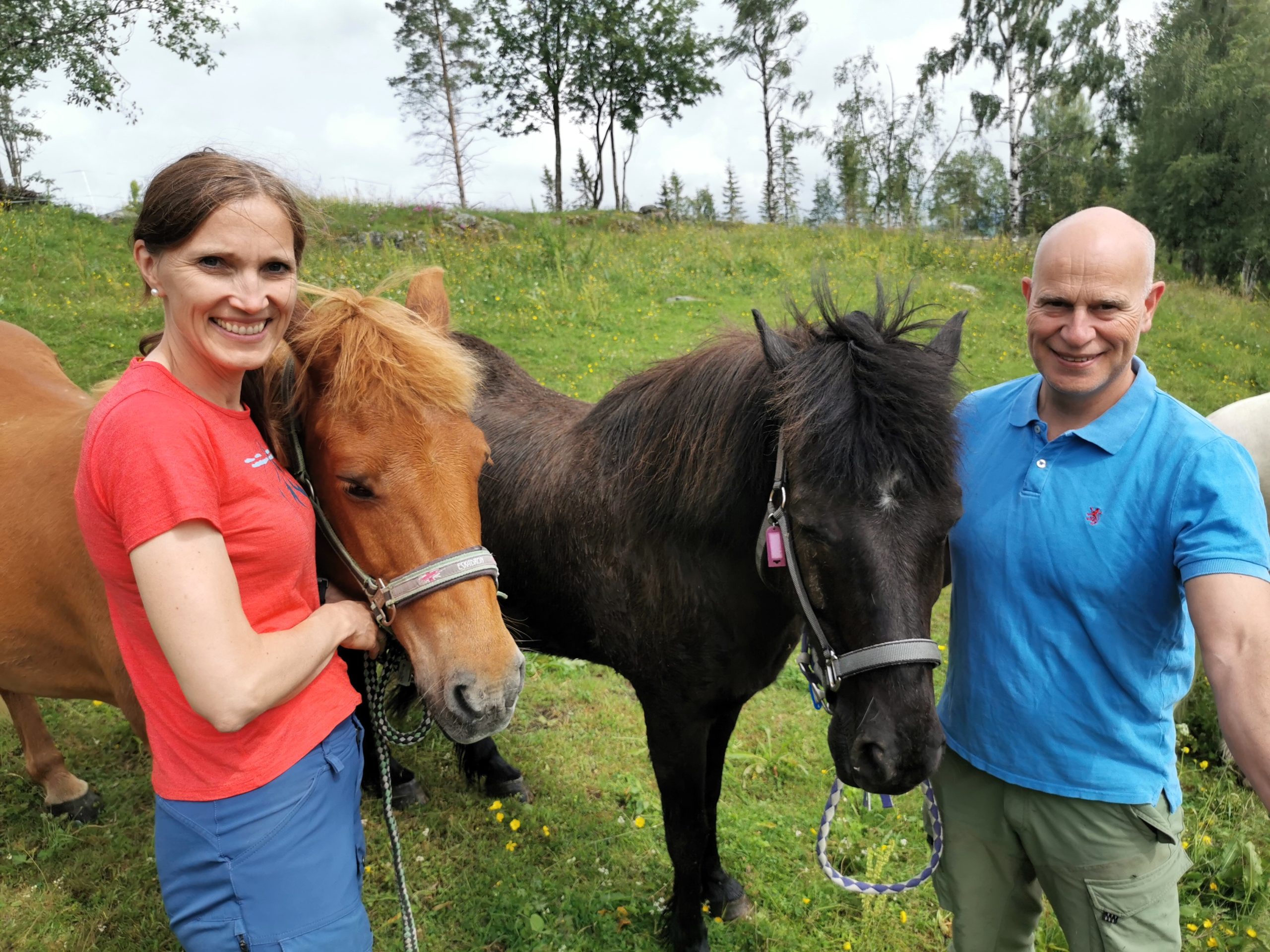 Hovdal Gård - VisitSjusjøen - Offisiell Turistinformasjon for Sjusjøen
