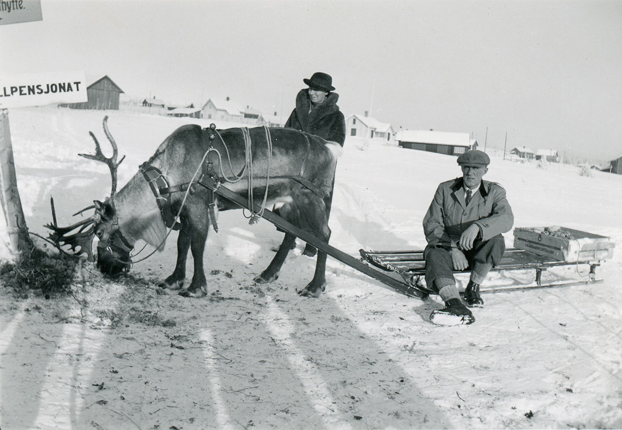 Ni tiår med hotellgjester for Rustad Hotell og Fjellstue - VisitSjusjøen - Offisiell ...